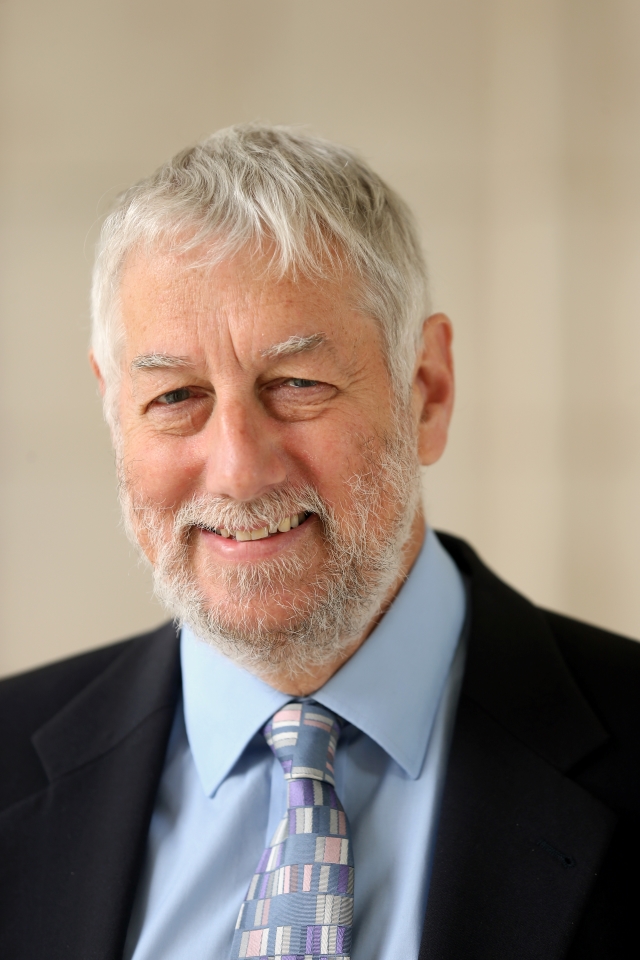 Prof Graham Hutchings CBE FREng FRS | Sustainable Chemicals and ...